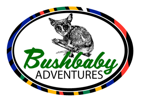 Bushbaby Adventures - A little background about bushbaby adventures.